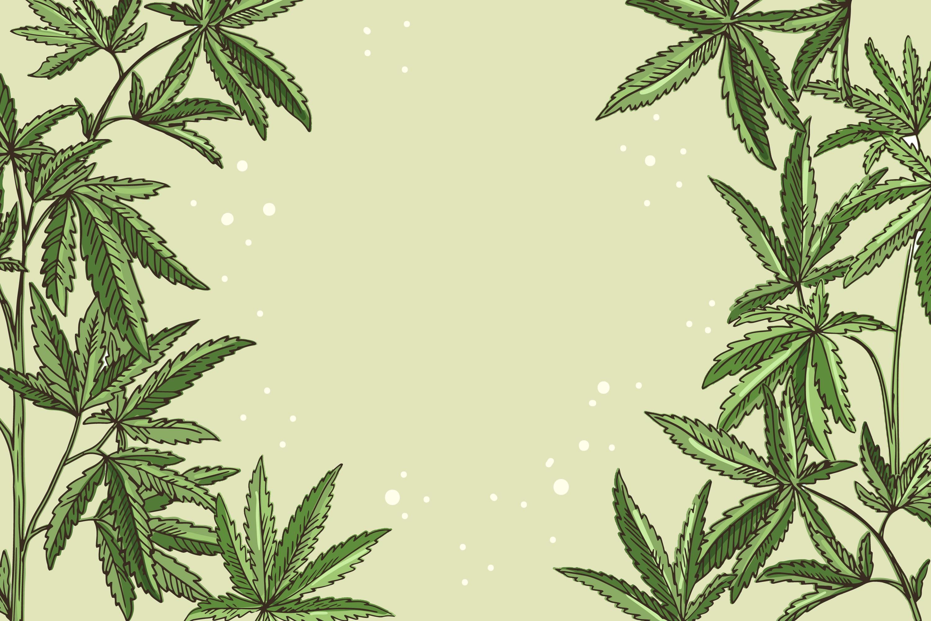 CBD / H4CBD / HHC / THCP Cannabis Großhandel B2B Deutschland